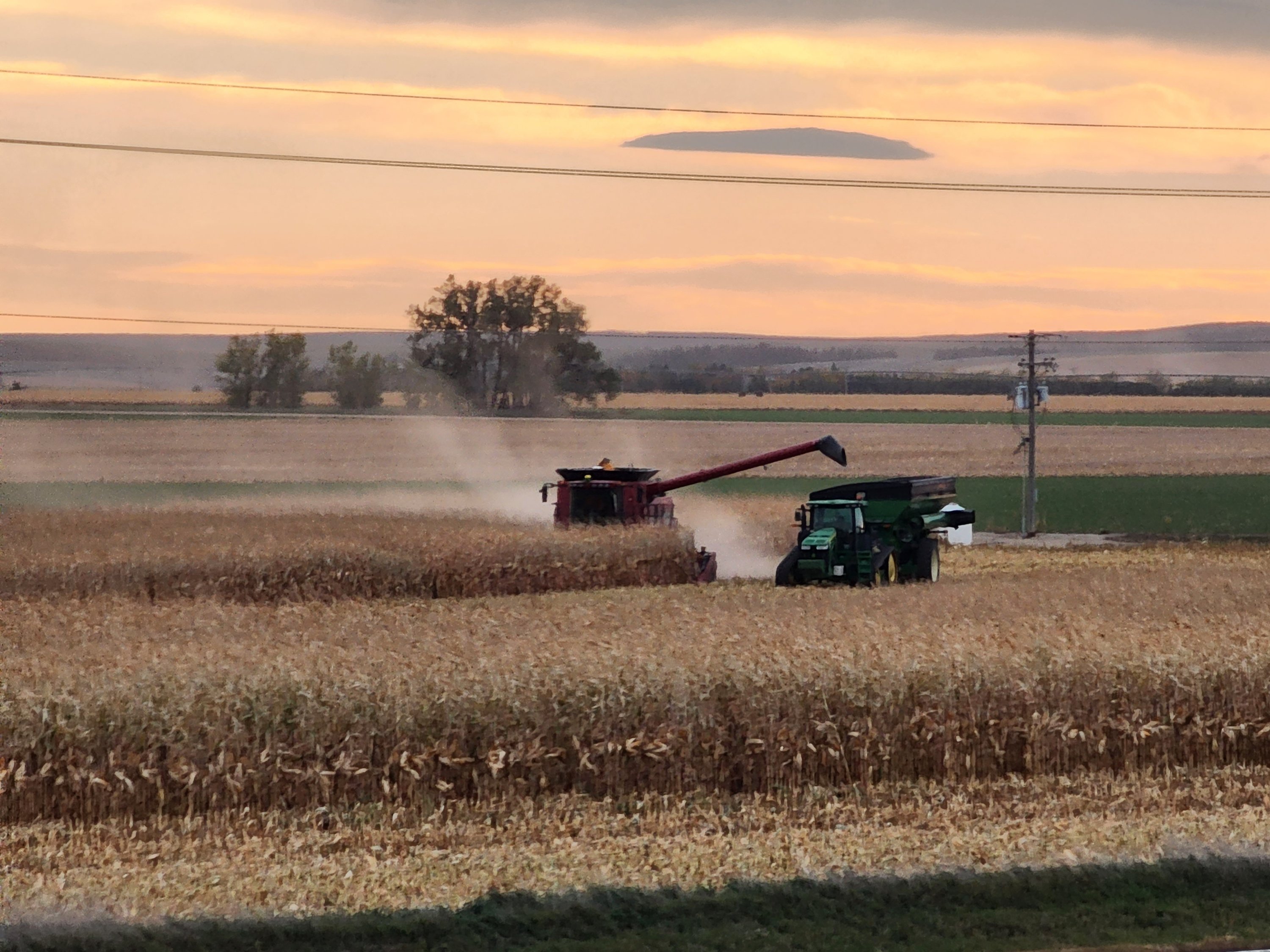 Life on the farm – The Joys of Retirement Production Company